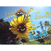 Laughing Sun!／Teada｜音楽ダウンロード・音楽配信サイト mora ～“WALKMAN”公式ミュージックストア～