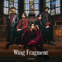 Wing Fragment／SOLIDEMO｜音楽ダウンロード・音楽配信サイト mora ～“WALKMAN”公式ミュージックストア～