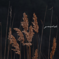 Day 197／Gerushida｜音楽ダウンロード・音楽配信サイト mora ～“WALKMAN”公式ミュージックストア～