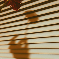 rollin'／macico｜音楽ダウンロード・音楽配信サイト mora ～“WALKMAN”公式ミュージックストア～