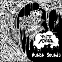 Human Sounds(Remastered)／WHITE POWDER｜音楽ダウンロード・音楽配信サイト mora ～“WALKMAN ...
