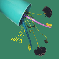 tara／macico｜音楽ダウンロード・音楽配信サイト mora ～“WALKMAN”公式ミュージックストア～