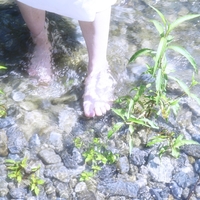 POOLS／Loulou Parasom｜音楽ダウンロード・音楽配信サイト mora ～“WALKMAN”公式ミュージックストア～