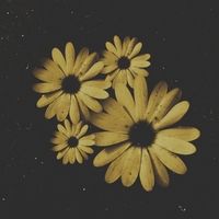 Mary／Hann｜音楽ダウンロード・音楽配信サイト mora ～“WALKMAN”公式ミュージックストア～