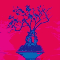 Plum Bonsai／DJ Synthesizer｜音楽ダウンロード・音楽配信サイト mora ～“WALKMAN”公式ミュージックストア～