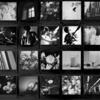 Milkshake／For Tracy Hyde｜音楽ダウンロード・音楽配信サイト mora ～“WALKMAN”公式ミュージックストア～