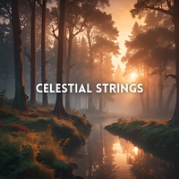 Celestial Strings／SATOSHI｜音楽ダウンロード・音楽配信サイト mora ～“WALKMAN”公式ミュージックストア～
