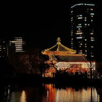 Midnight Japan／SSM-JP｜音楽ダウンロード・音楽配信サイト mora ～“WALKMAN”公式ミュージックストア～