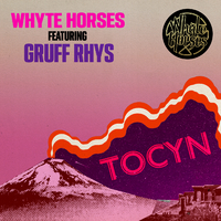 Tocyn (feat. Gruff Rhys)／Whyte Horses｜音楽ダウンロード・音楽配信サイト mora ～“WALKMAN ...