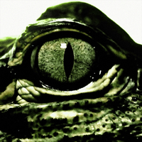 LANDMINE／SLOE JACK｜音楽ダウンロード・音楽配信サイト mora ～“WALKMAN”公式ミュージックストア～