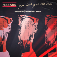 You Look Good Like That (Human Kebab Remix)／Ferraro｜音楽ダウンロード・音楽配信サイト ...