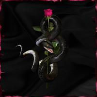 Snake on My Way／Tytokush, Nfx, & Met Music｜音楽ダウンロード・音楽配信サイト mora ...