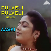 Pulveli Pulveli Remix (From "Aasai")／Deva, Vairamuthu, K. S. Chithra ...