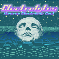 Electrolytes: Diverse Electronic Cool／Decadent Beats｜音楽ダウンロード・音楽配信サイト ...