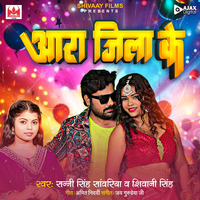 Aara Jila Ke／Shivani Singh & Sanni Singh Sanwariya｜音楽ダウンロード・音楽配信サイト ...