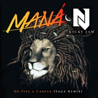 De Pies A Cabeza (Saga Remix)／Maná & Nicky Jam｜音楽ダウンロード・音楽配信サイト mora ～“WALKMAN”公式ミュージックストア～