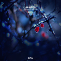 Fall In Love／Alireza｜音楽ダウンロード・音楽配信サイト mora ～“WALKMAN”公式ミュージックストア～