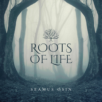 Roots of Life／Seamus Osin｜音楽ダウンロード・音楽配信サイト mora ～“WALKMAN”公式ミュージックストア～