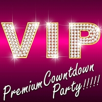 VIP Premium Countdown Party！！！！！／every day PARTY project｜音楽ダウンロード・音楽配信 ...