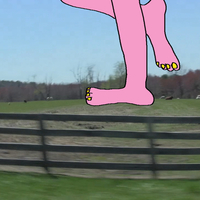 Suspended In Gaffa／Deer Scout｜音楽ダウンロード・音楽配信サイト mora ～“WALKMAN”公式ミュージックストア～