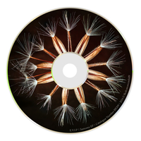 Samorez EP／E.V.I.P｜音楽ダウンロード・音楽配信サイト mora ～“WALKMAN”公式ミュージックストア～