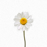 꽃이 되었네 (became a flower) (Feat. 제임스 (JEIMS))／김규민 (Kim Gyumin)｜音楽ダウンロード ...