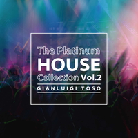 Gianluigi Toso - The Platinum House Collection Vol.2／Gianluigi Toso｜音楽 ...