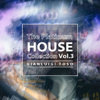 Gianluigi Toso - The Platinum House Collection Vol.3／Gianluigi Toso｜音楽 ...