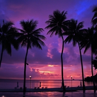 Mobile Melody Series mini album vol.185／Mobile Melody Series｜音楽ダウンロード・音楽配信サイト mora ～“WALKMAN”公式 ...