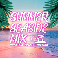 SUMMER SEASIDE MIX -TROPICAL BEACH HITS 2020- mixed by TORDO (DJ MIX ...