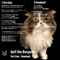 first time/thumbnail／buff the Bergamo｜音楽ダウンロード・音楽配信サイト mora ～“WALKMAN ...