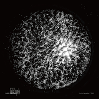 Initial Impulse／FKD｜音楽ダウンロード・音楽配信サイト mora ～“WALKMAN”公式ミュージックストア～