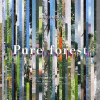 Pure forest／KEETEKITO｜音楽ダウンロード・音楽配信サイト mora ～“WALKMAN”公式ミュージックストア～