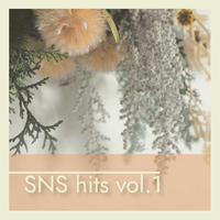 SNS hits vol.1／MTA｜音楽ダウンロード・音楽配信サイト mora ～“WALKMAN”公式ミュージックストア～