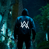 Ignite (Instrumental)( feat.K-391)／Alan Walker｜音楽ダウンロード・音楽配信サイト mora ～“WALKMAN”公式ミュージックストア～