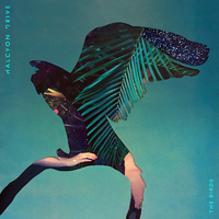 The Birds／Halcyon Drive｜音楽ダウンロード・音楽配信サイト mora ～“WALKMAN”公式ミュージックストア～