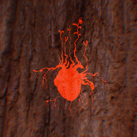 Løvehjerte／The Rumour Said Fire｜音楽ダウンロード・音楽配信サイト mora ～“WALKMAN”公式 ...