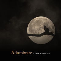 Adumbrate／Luna Acantha｜音楽ダウンロード・音楽配信サイト mora ～“WALKMAN”公式ミュージックストア～