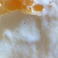 Refrain Cream／Ruto｜音楽ダウンロード・音楽配信サイト mora ～“WALKMAN”公式ミュージックストア～