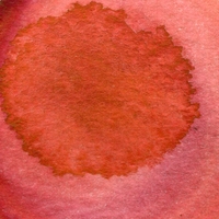 Refrain Sienna／Ruto｜音楽ダウンロード・音楽配信サイト mora ～“WALKMAN”公式ミュージックストア～