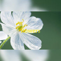 flowers／kei｜音楽ダウンロード・音楽配信サイト mora ～“WALKMAN”公式ミュージックストア～