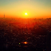 Red sun, red rain fall on the ground／HAPPY SAD｜音楽ダウンロード・音楽配信サイト mora ...