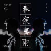 Spring Night Light Rain／Ding Xiang Wei｜音楽ダウンロード・音楽配信サイト mora ～“WALKMAN ...